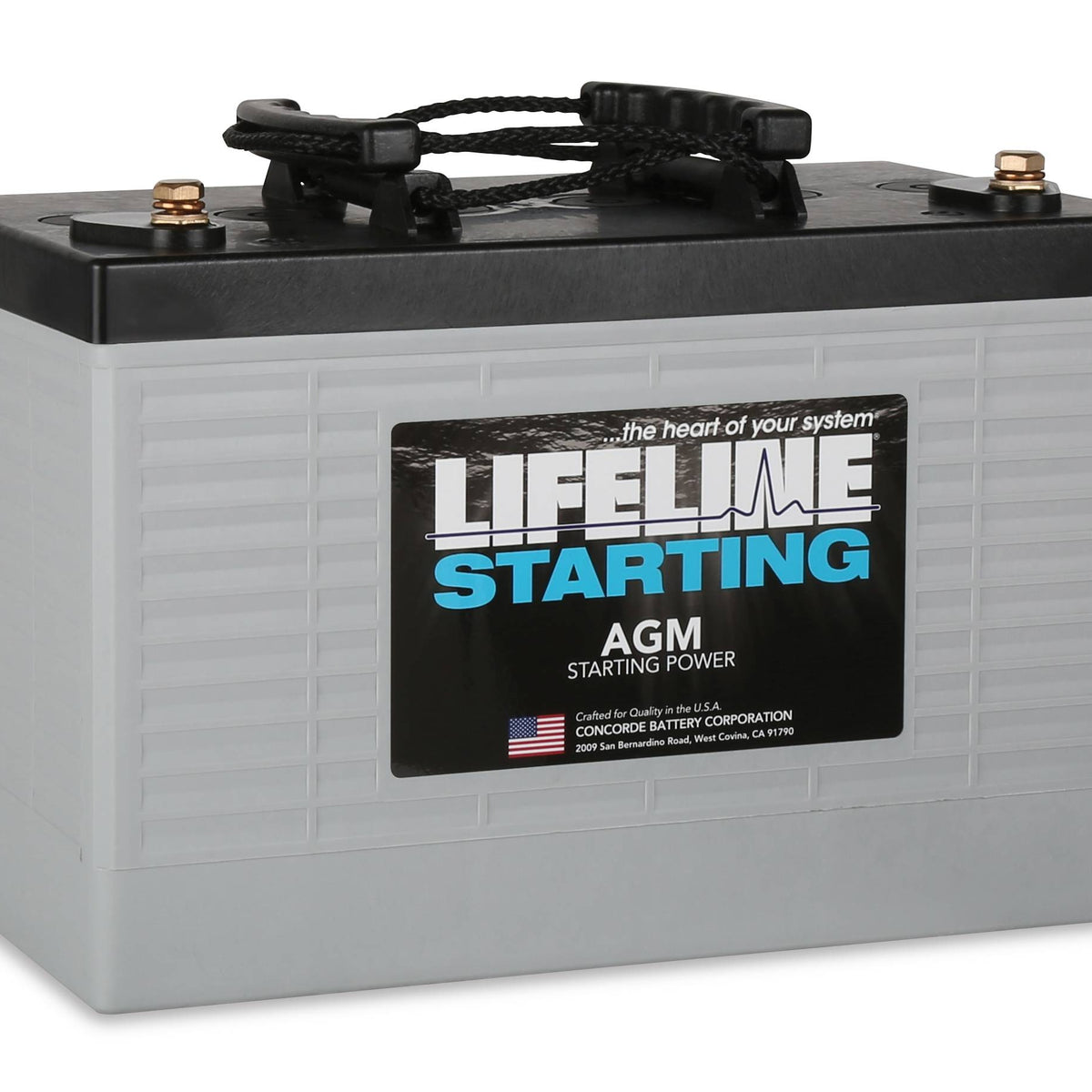 Lifeline GPL-3100T AGM RV/Marine Starting Battery – Buy Batteries ...